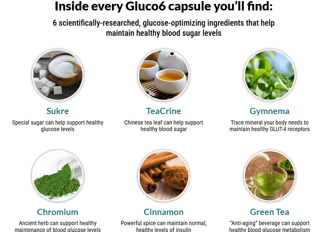 Gluco6: Your Comprehensive Guide to Glucose Management
