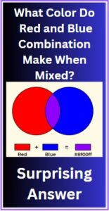 What Color Do Red and Blue Combination Make When Mixed?